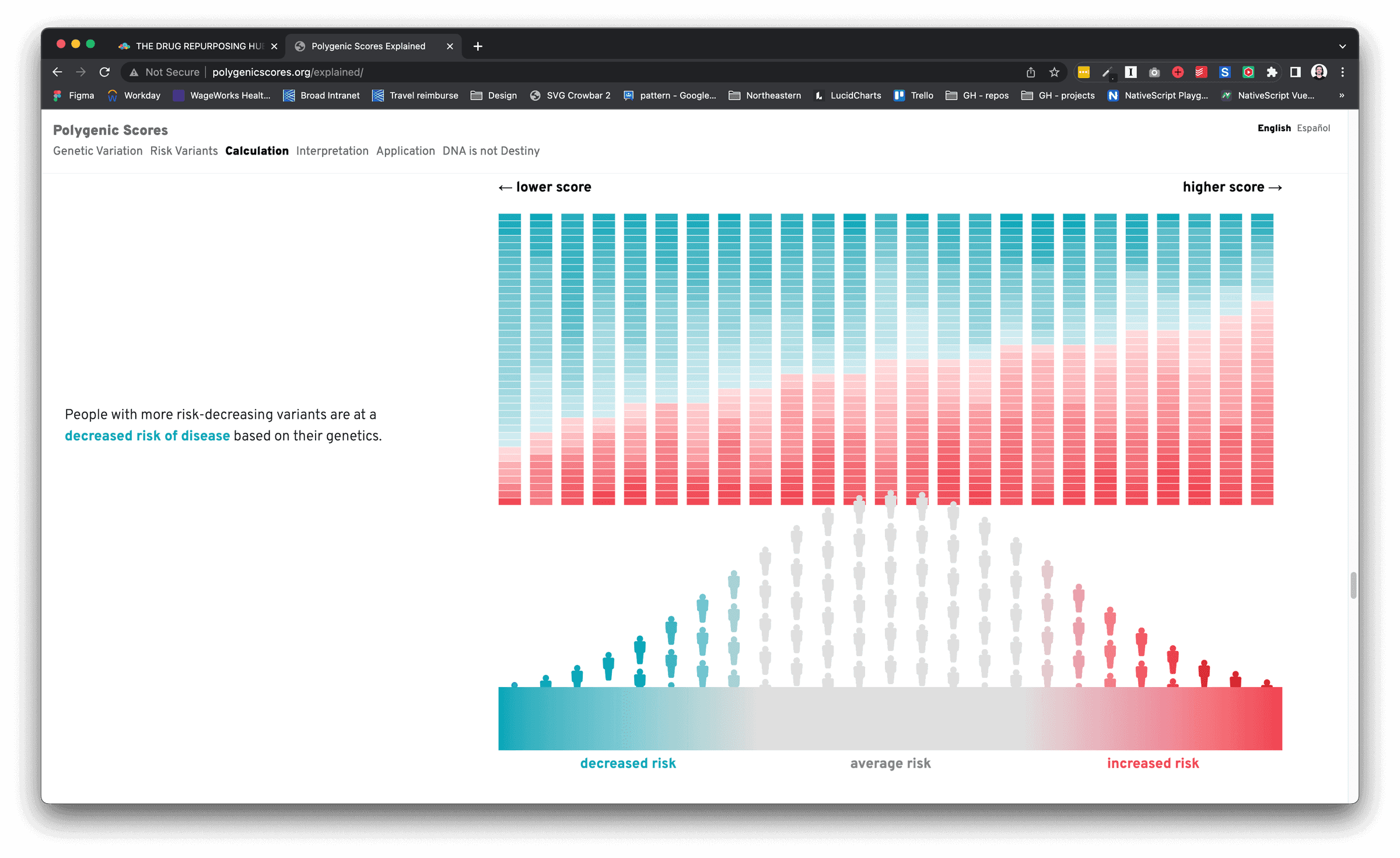 Polygenic Scores Explained | PATTERN